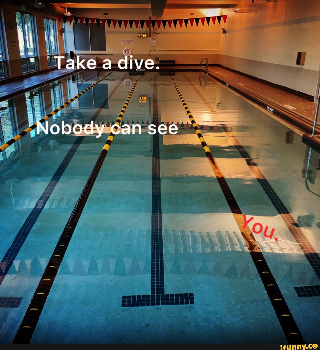 Take a dive. Nobody can see - iFunny