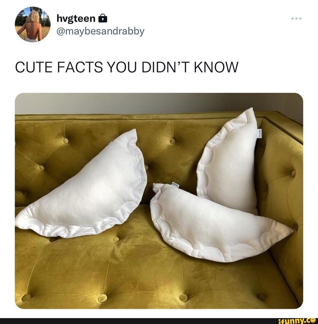 CUTE FACTS YOU DIDN'T KNOW - iFunny