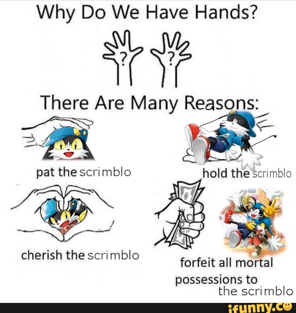 Why Do We Have Hands? There Are Many Reasons: pat the scrimblo cherish ...