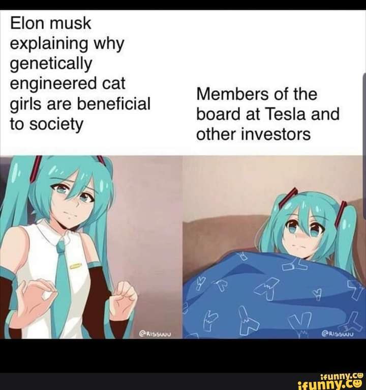 Elon musk explaining why genetically engineered cat girls are ...