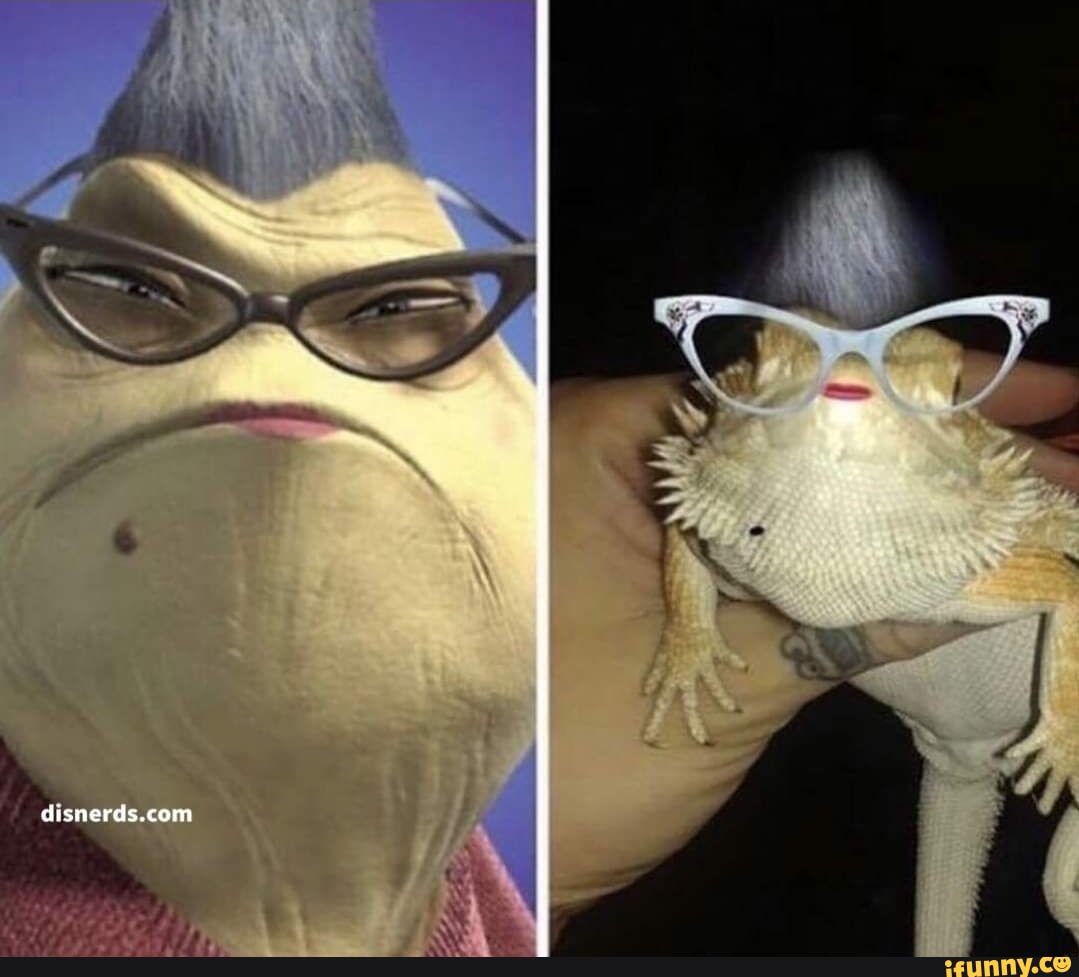 Roz memes. Best Collection of funny Roz pictures on iFunny