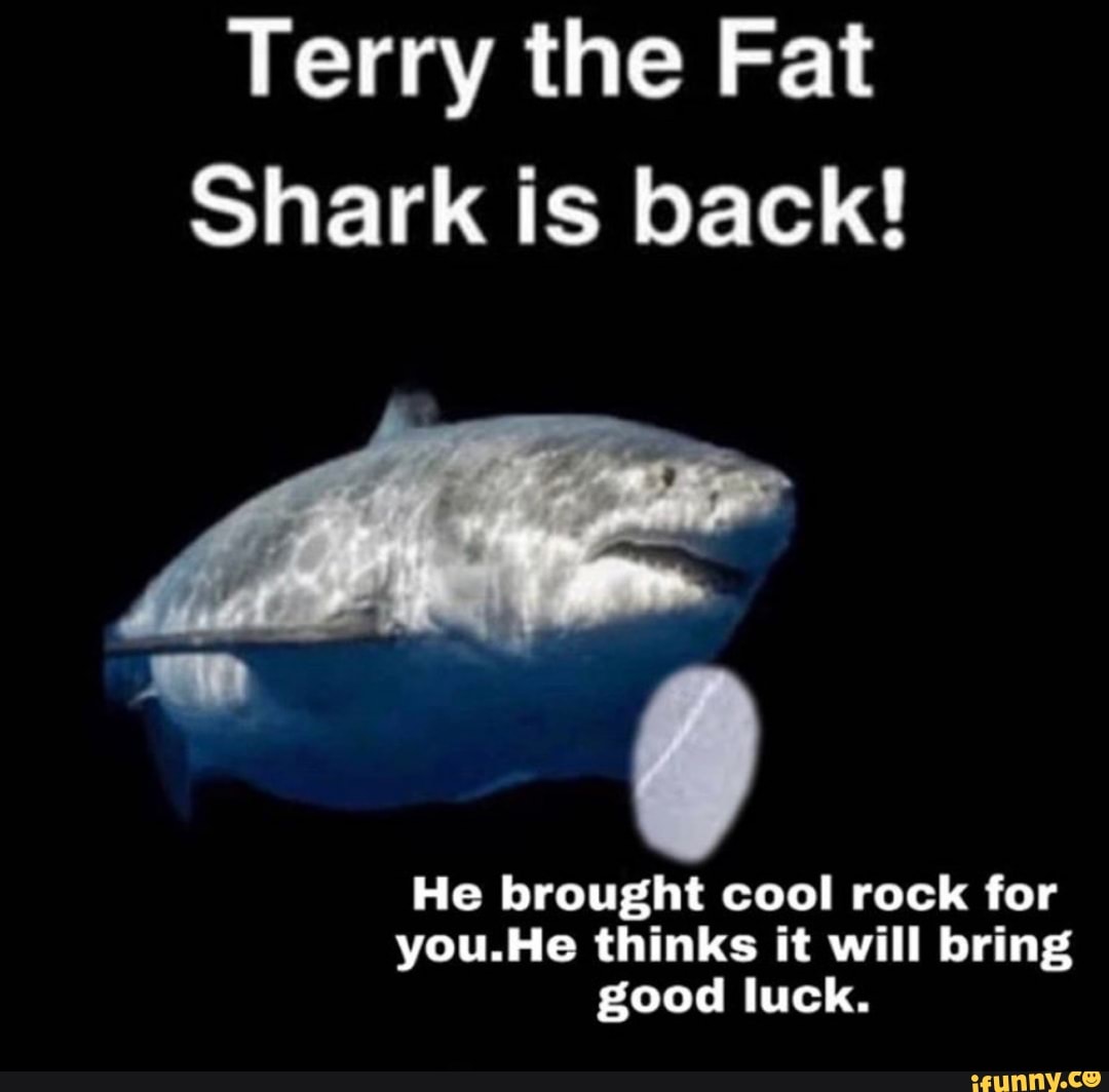Terry the Fat Shark is back! IA He brought cool rock for you.He thinks ...
