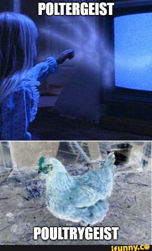Poltergeist memes. Best Collection of funny Poltergeist pictures on iFunny
