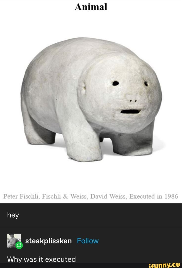 Weiss memes. Best Collection of funny Weiss pictures on iFunny