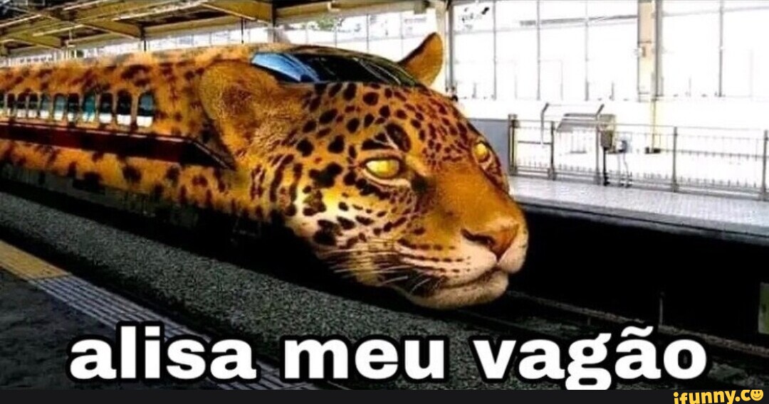 Alisa Meu Vagão Ifunny Brazil