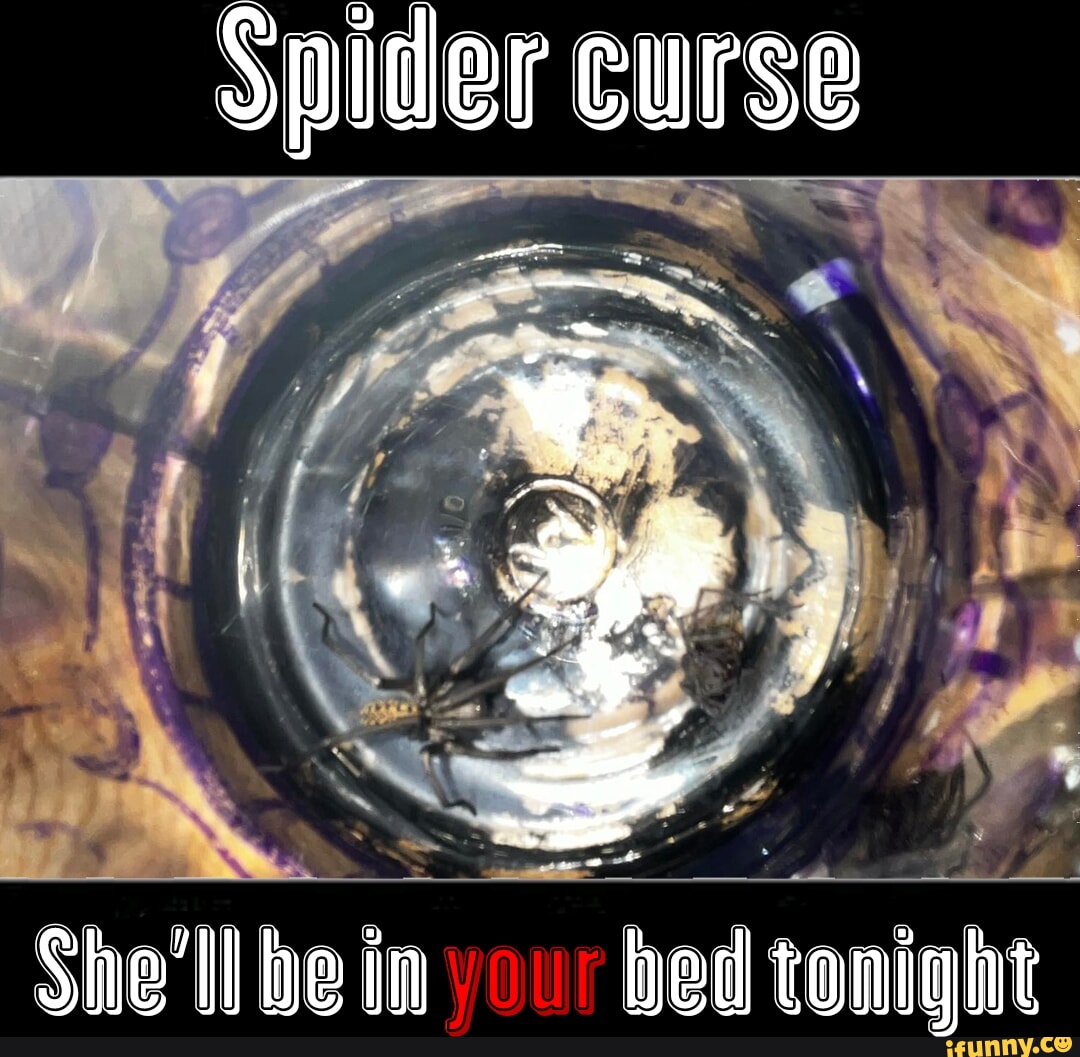 Arachnophobia memes. Best Collection of funny Arachnophobia pictures on ...