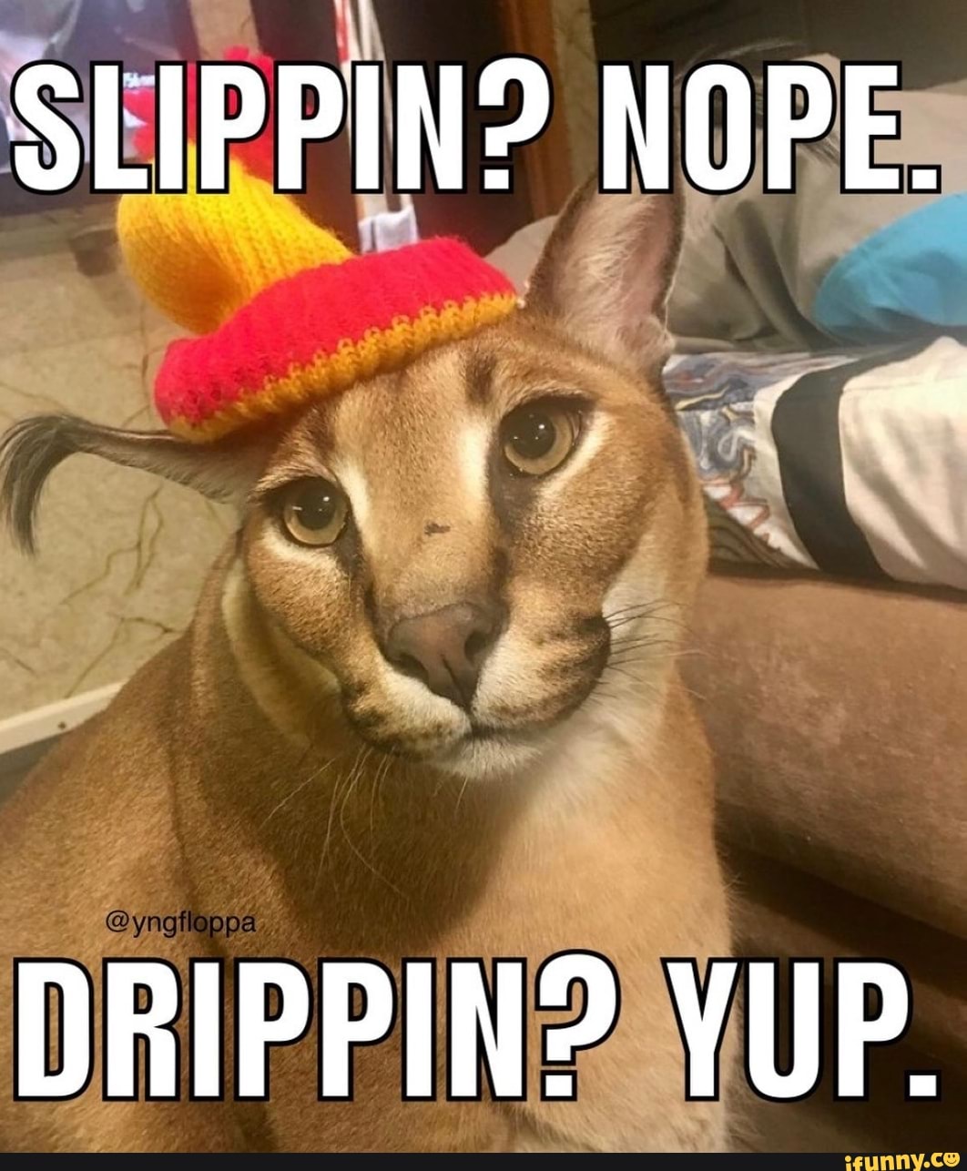 SLIPPIN? NOPE. DRIPPIN? YUP. - iFunny