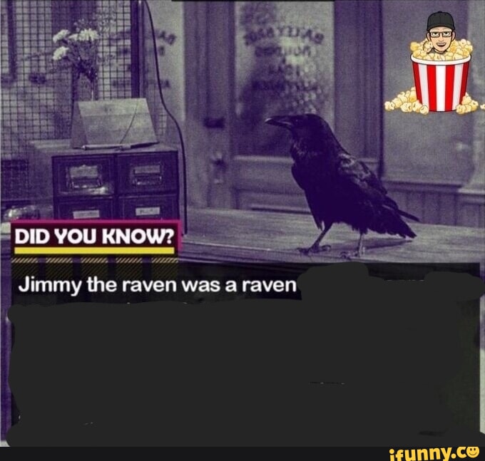 DID YOU KNOW? I Jimmy the raven was raven - iFunny