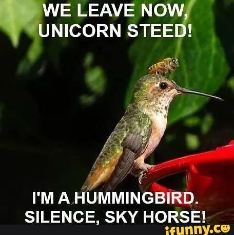 Steed memes. Best Collection of funny Steed pictures on iFunny