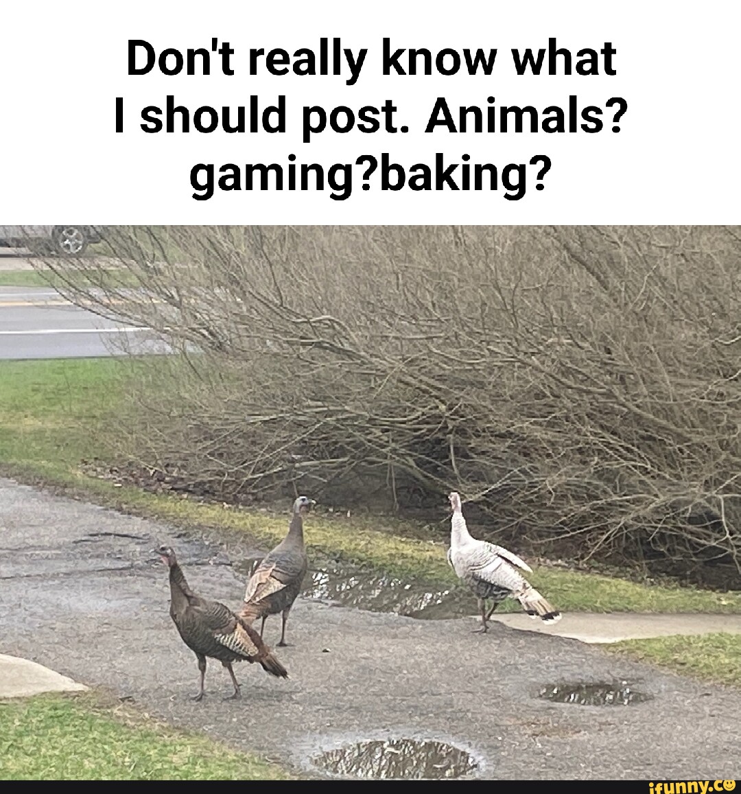 Vt memes. Best Collection of funny Vt pictures on iFunny