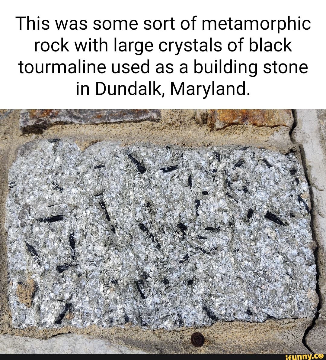 Dundalk memes. Best Collection of funny Dundalk pictures on iFunny