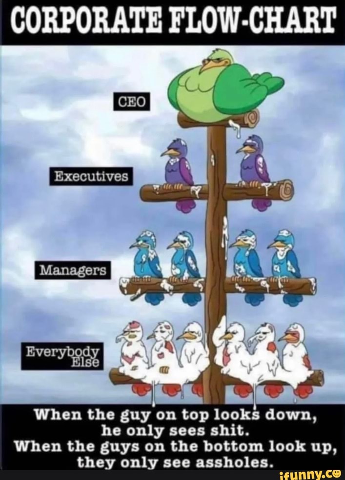 CORPORATE CHART CEO Executives Managers Everybody When the guy on top ...