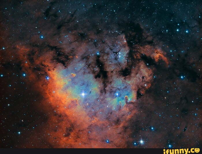 Oiii memes. Best Collection of funny Oiii pictures on iFunny