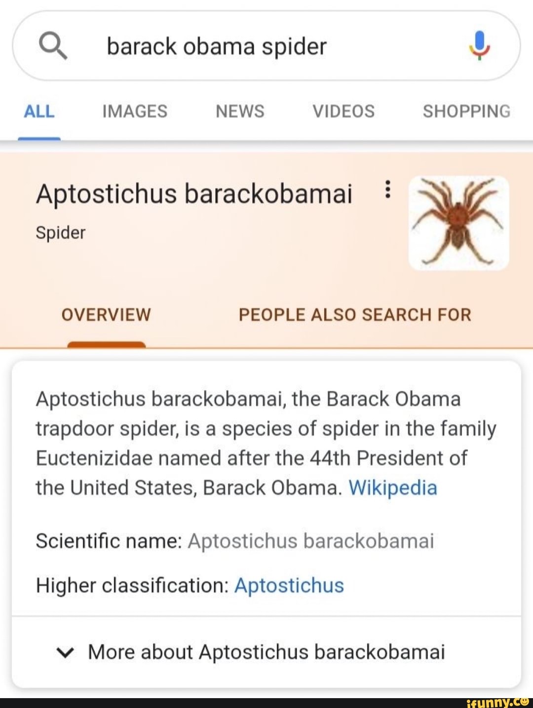 Aptostichus barackobamai Aptostichus barackobamai, the Barack Obama ...