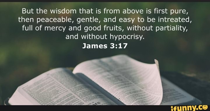But the wisdom that is from above is first pure, then peaceable, gentle ...