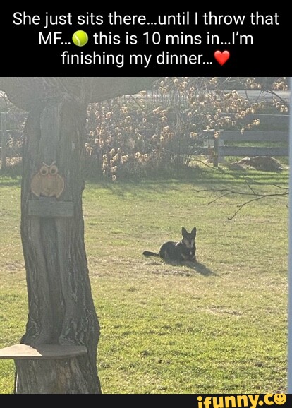 She just sits there...until I throw that MF...@ this is 10 mins in...''m finishing my dinner ...