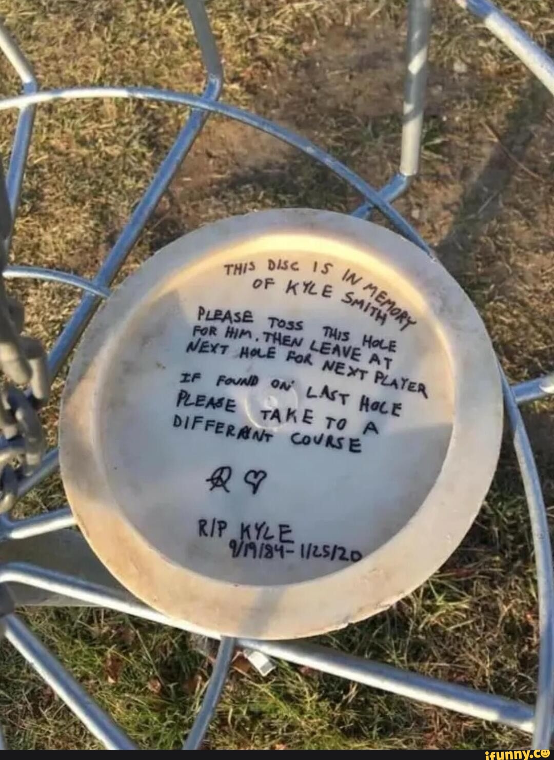 The first taxidermy walrus was much larger and smoother than a live ...