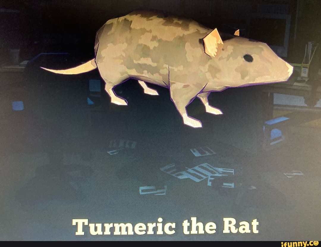 Turmeric the Rat - iFunny