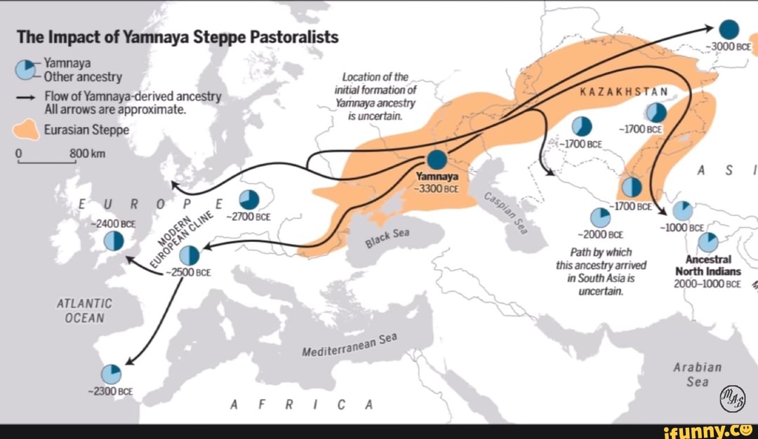 The Impact of Yamnaya Steppe Pastoralists Other ancestry Location of ...