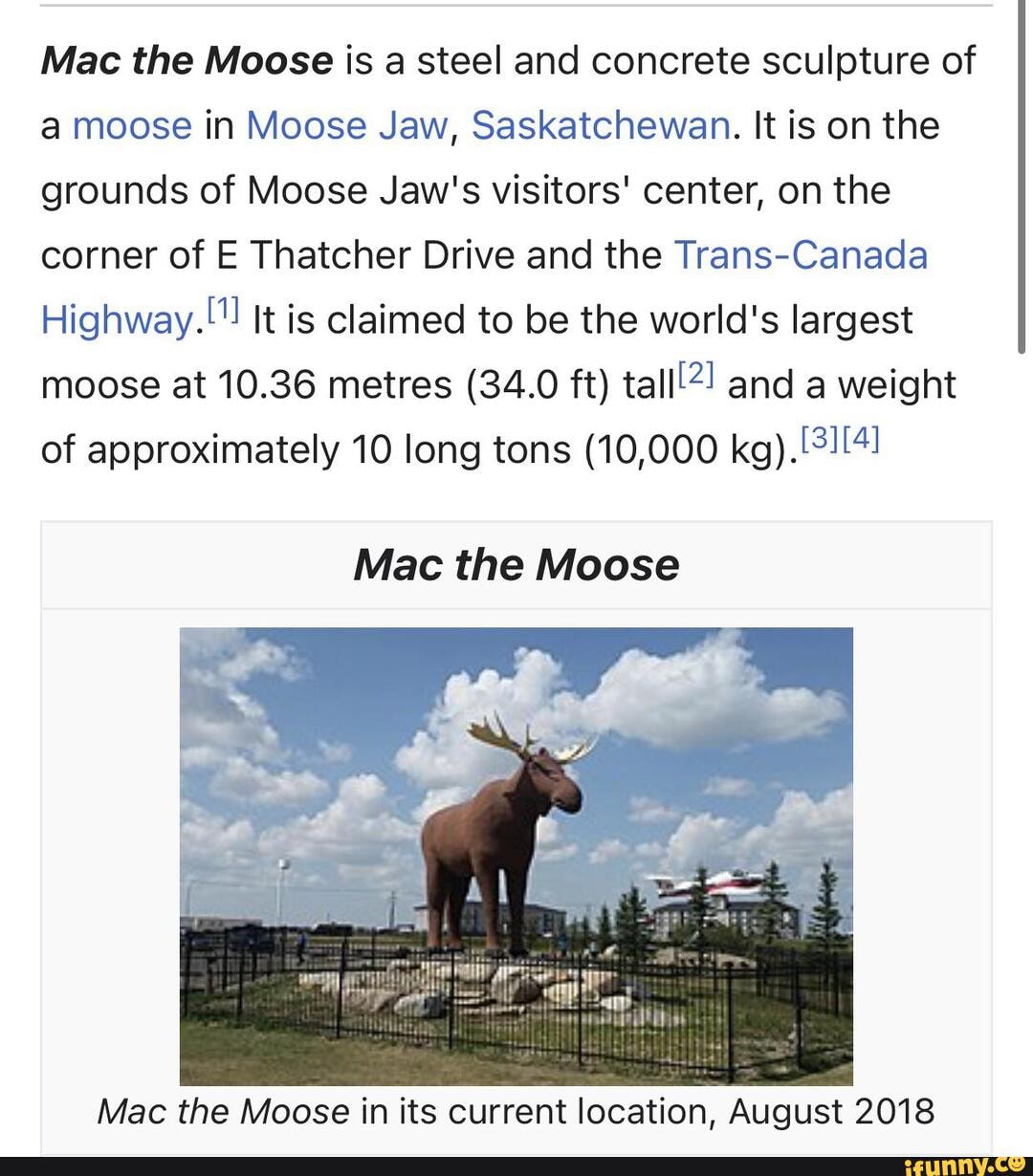 Mac the Moose is a steel and concrete sculpture of a moose in Moose Jaw ...