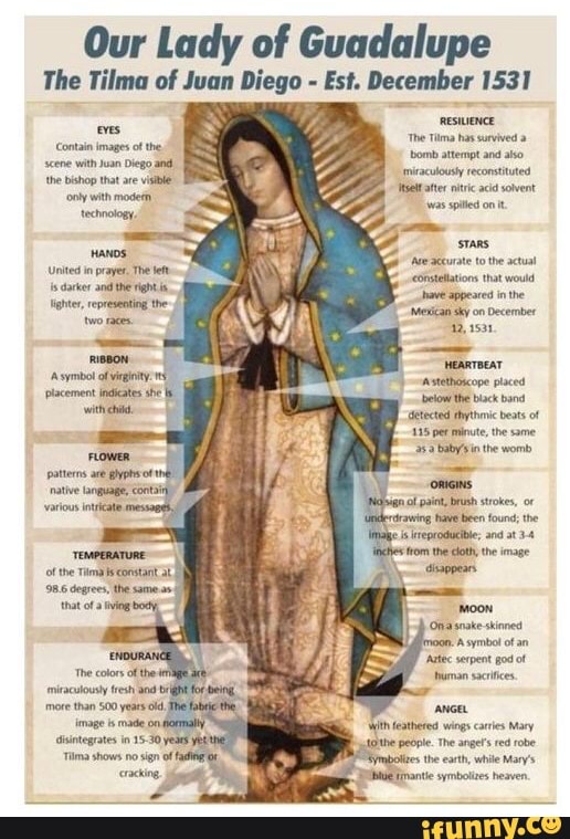 Our Lady of Guadalupe The Tilma of Juan Diego - Est. December 1531 ...