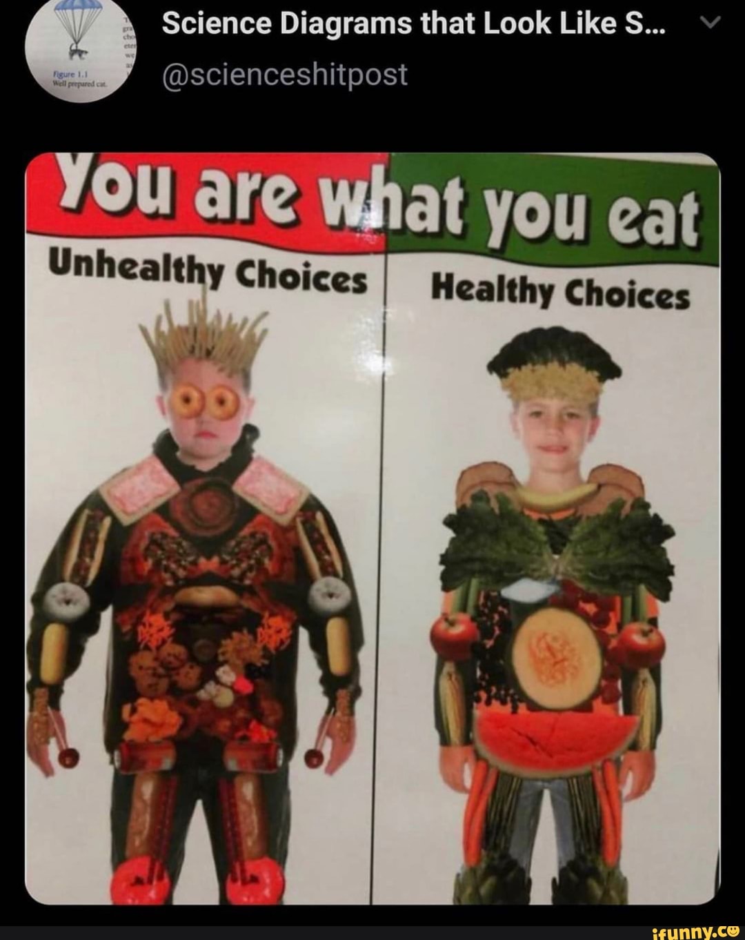 Science Diagrams that Look Like S... @scienceshitpost YOU are What you ...