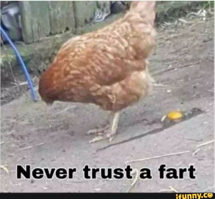 Never trust a fart - iFunny