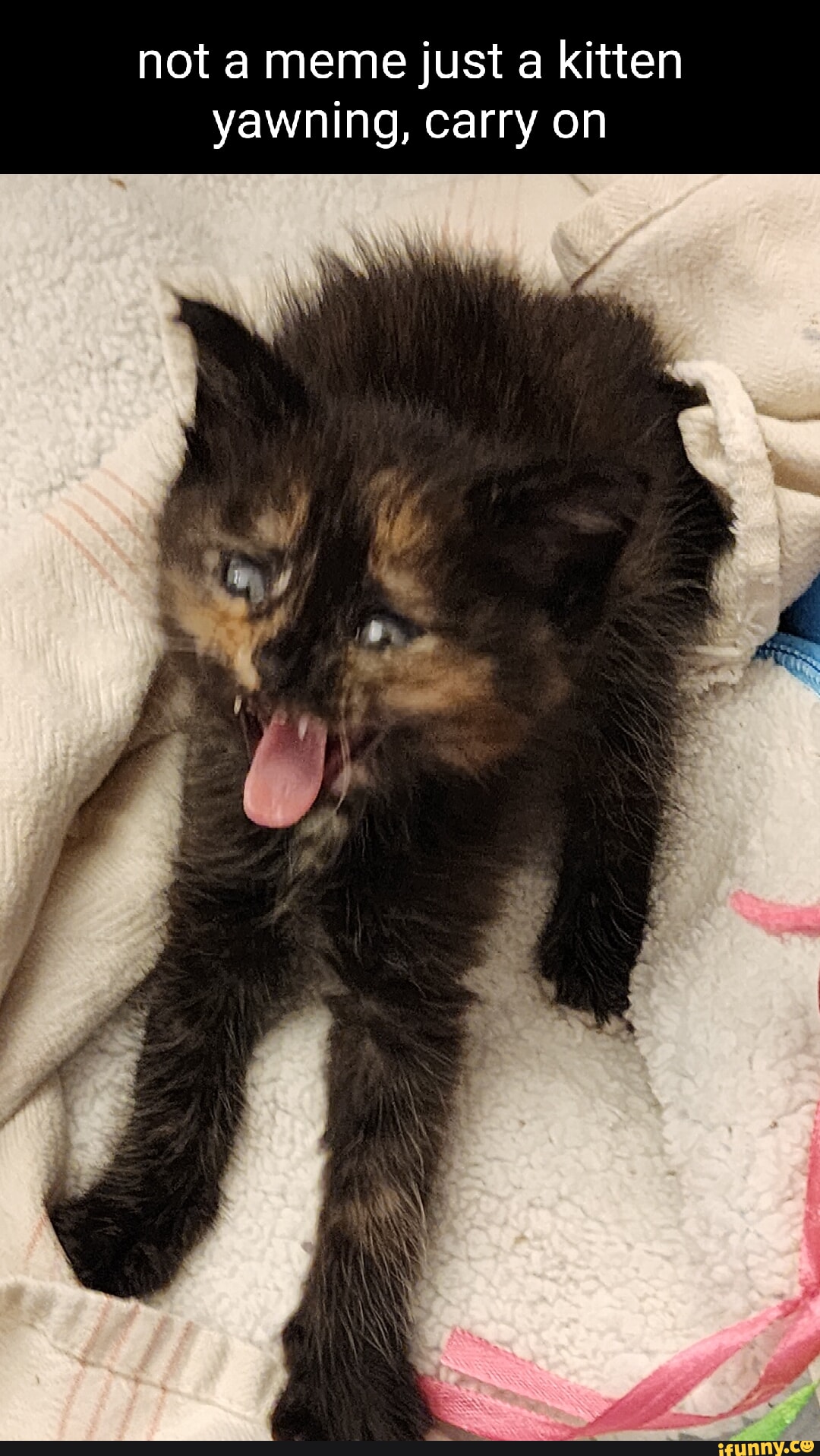 Yawning memes. Best Collection of funny Yawning pictures on iFunny