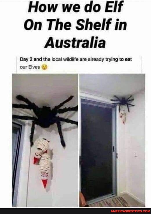 How we do Elf On The Shelf in Australia Day and the local wildlife are ...