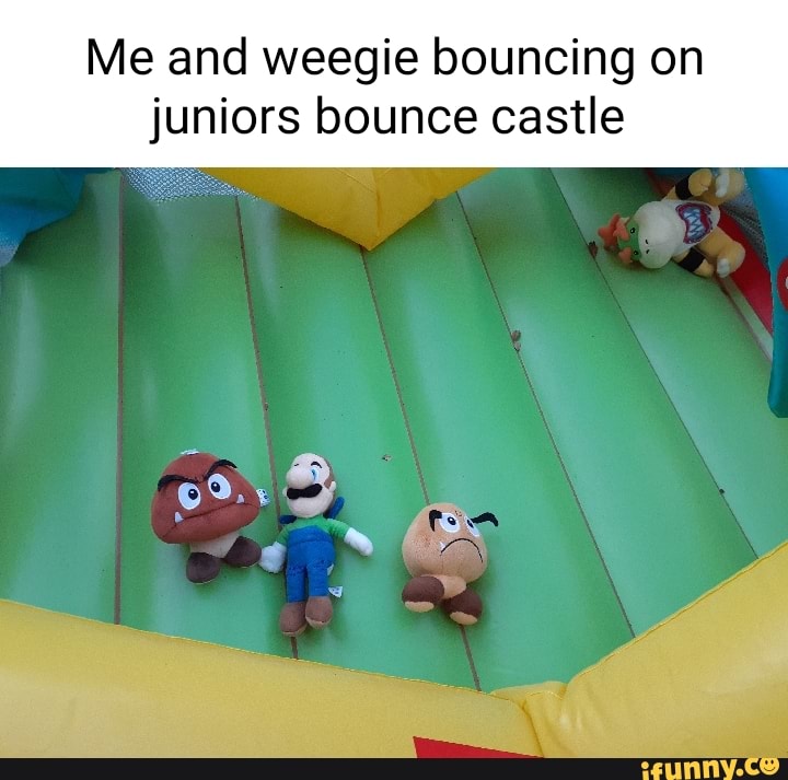 Weegie memes. Best Collection of funny Weegie pictures on iFunny