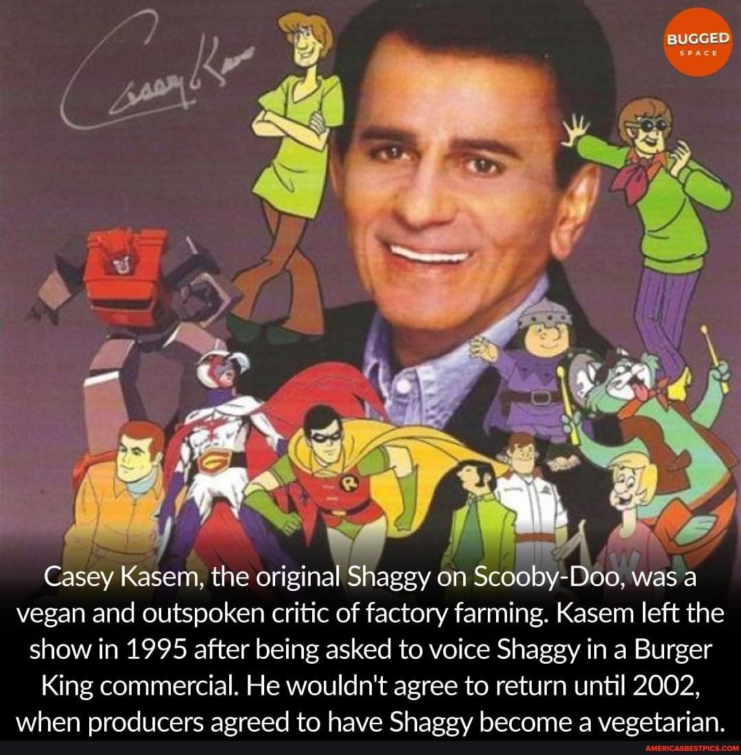 BUGGED Casey Kasem, the original Shaggy on Scooby-Doo, was a vegan and ...