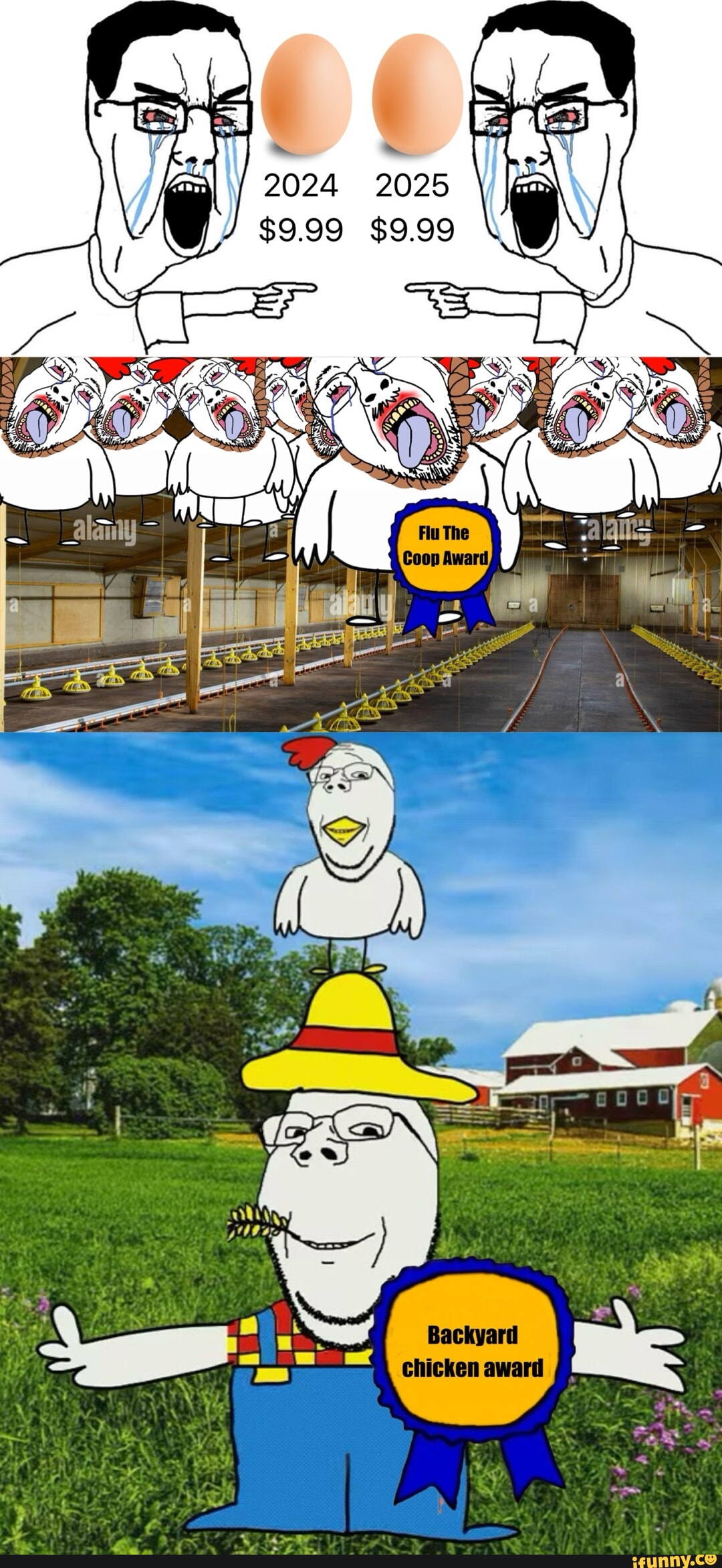 2024 2025 $9.99 $9.99 Backyard chicken award - iFunny