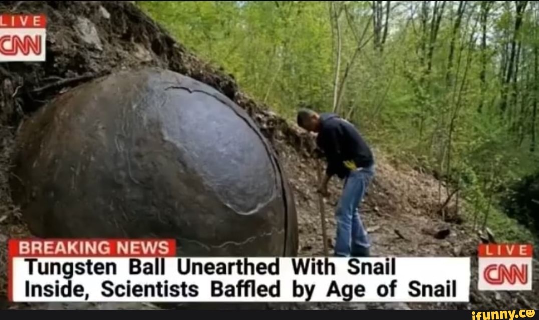 LIVE BREAKING NEWS Tungsten Ball Unearthed Wit Snail Inside, Scientists ...