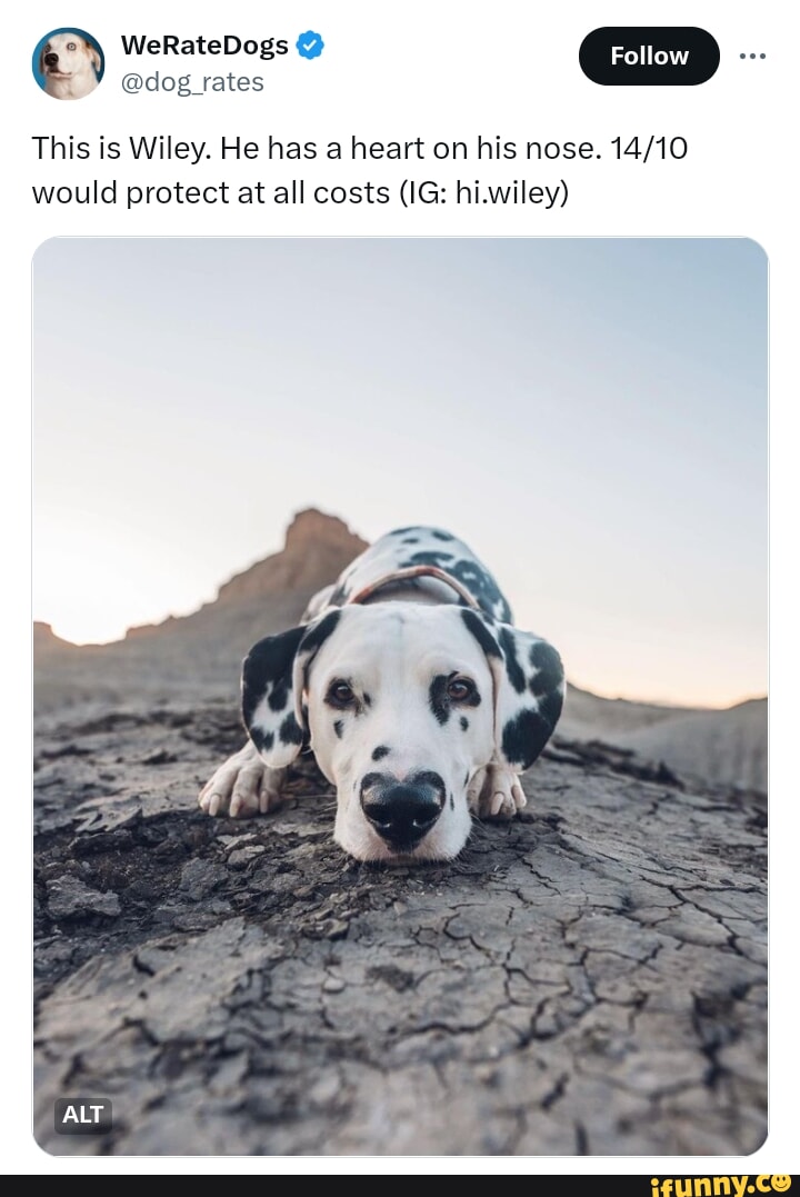 Undress me I You have a with words... spider in your I bra. - iFunny