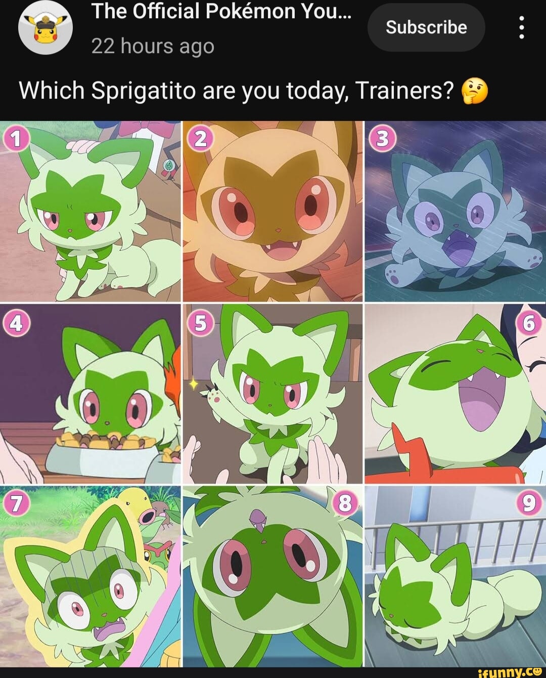 Sprigatito memes. Best Collection of funny Sprigatito pictures on iFunny