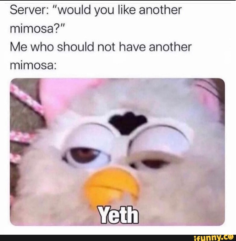 Mimosa memes. Best Collection of funny Mimosa pictures on iFunny