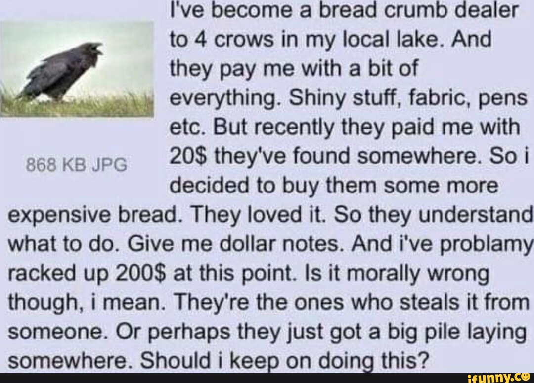 Druid memes. Best Collection of funny Druid pictures on iFunny