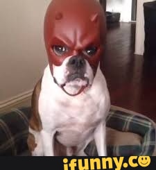 Tuff memes. Best Collection of funny Tuff pictures on iFunny