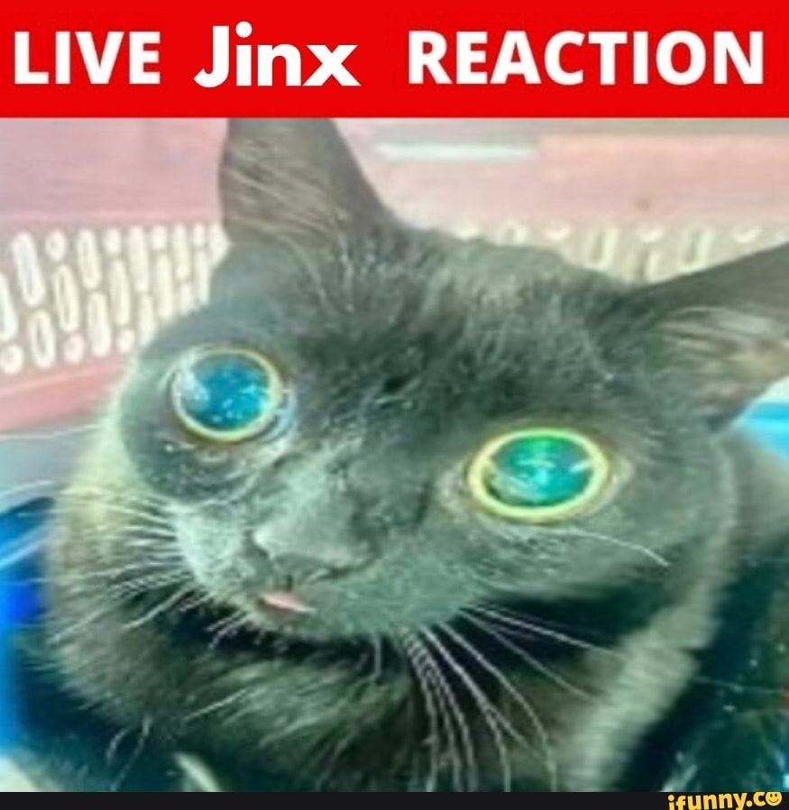 LIVE Jinx REACTION - iFunny