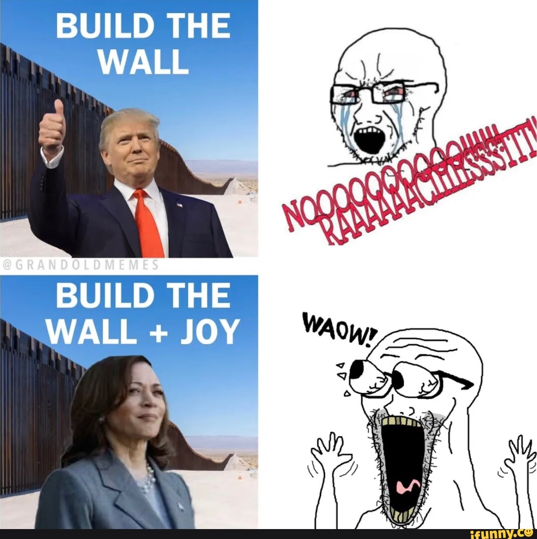 BUILD THE WALL BUILD THE WALL + JOY - iFunny