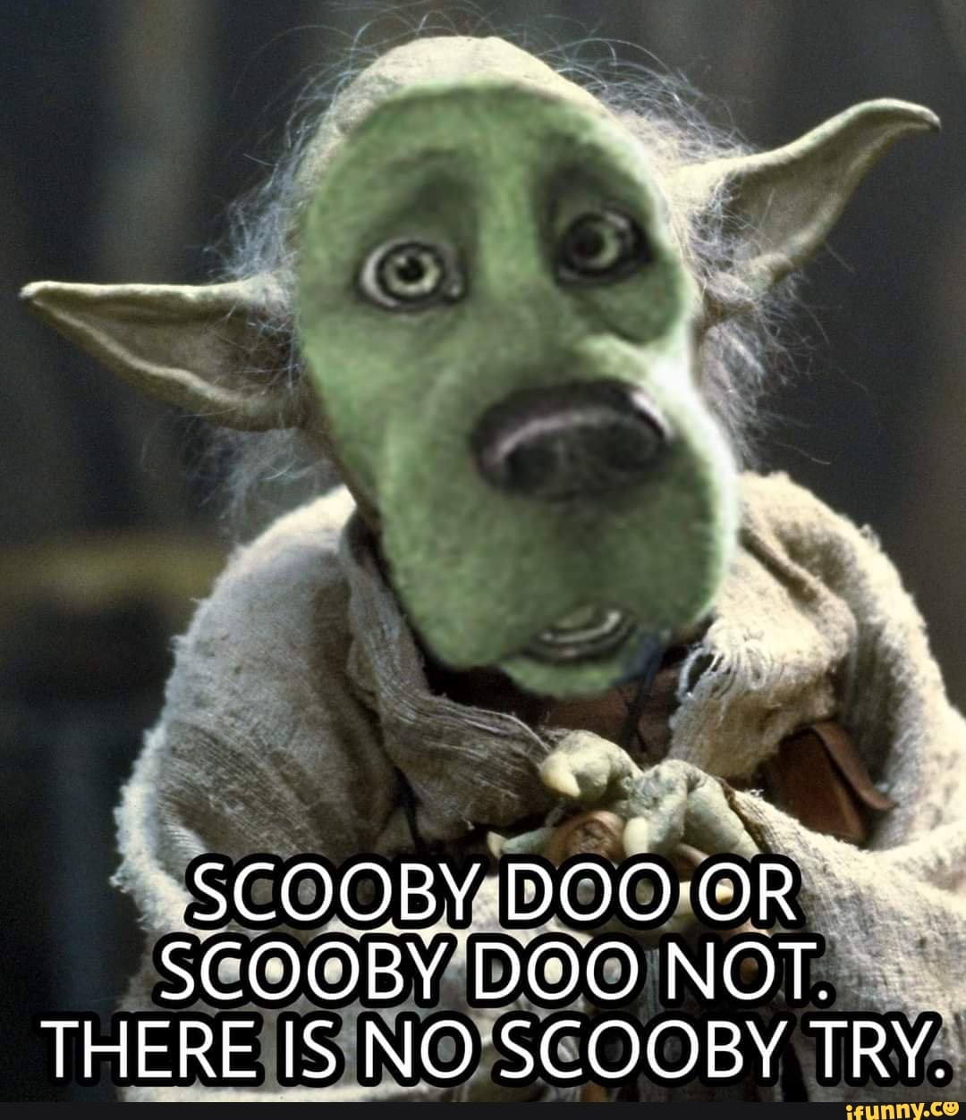 SCOOBY: DOO: OR SCOOBY DOO NOT. THERE IS NO SCOOBY TRY. - iFunny