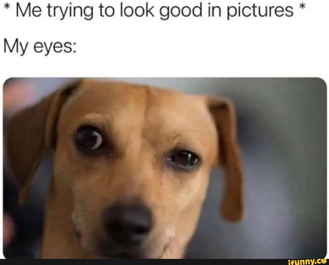 Me trying to look good in pictures * My eyes: - iFunny