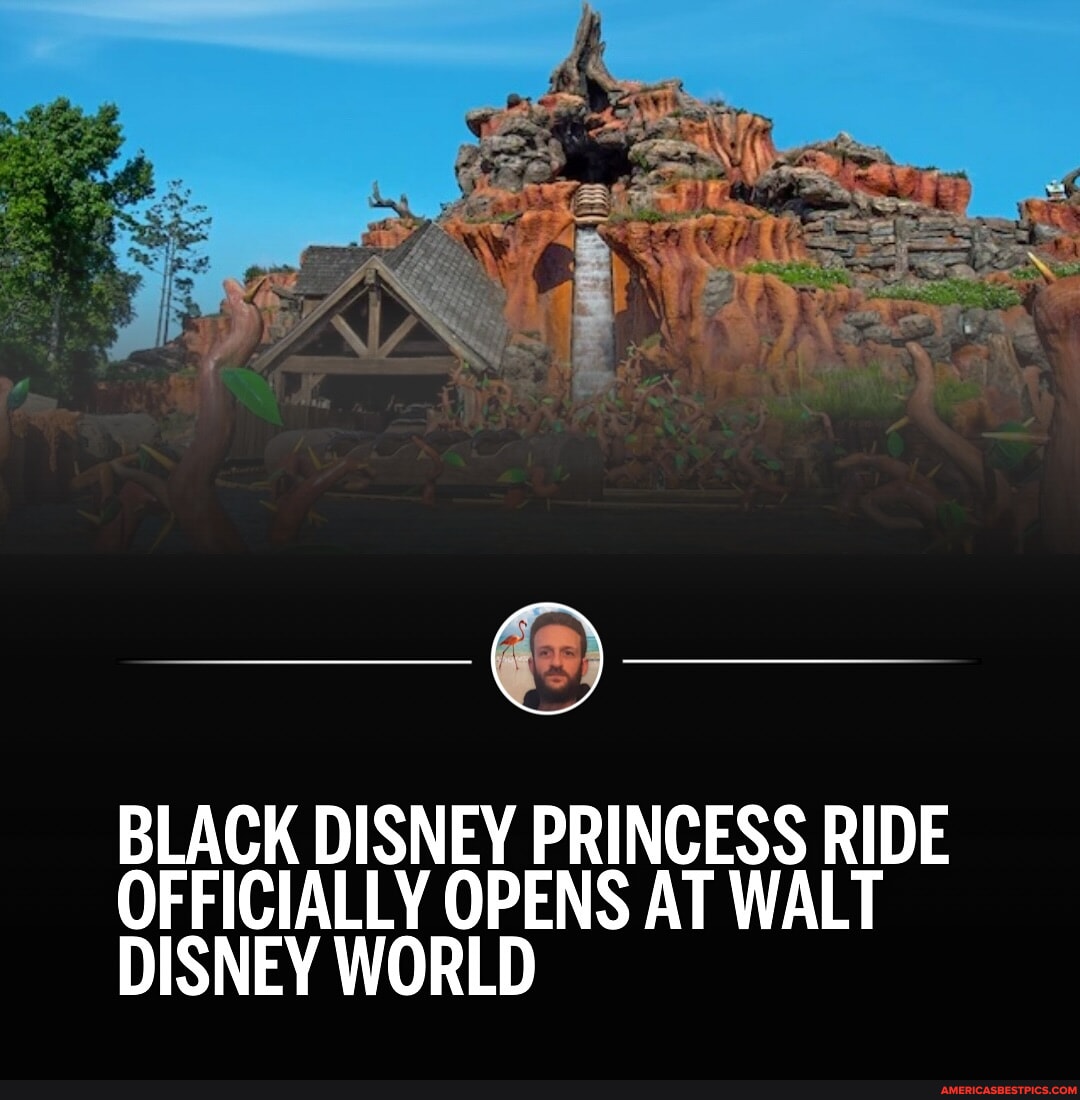 Idk her name - BLACK DISNEY PRINCESS RIDE OFFICIALLY OPENS AT WALT ...