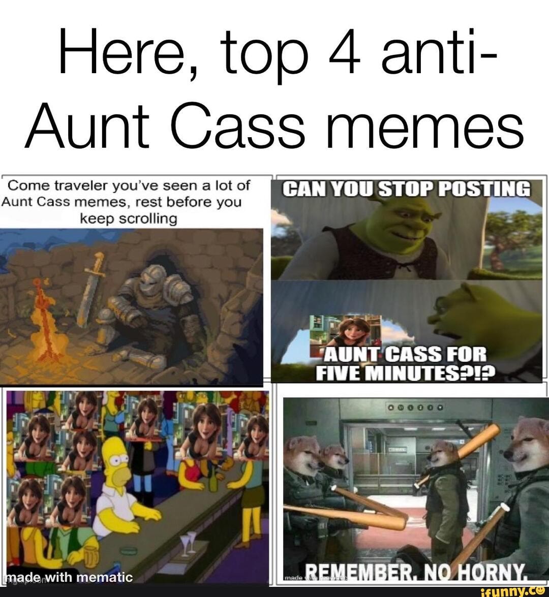 Here, top 4 anti- Aunt Cass memes Come traveler you've seen a lot of ...