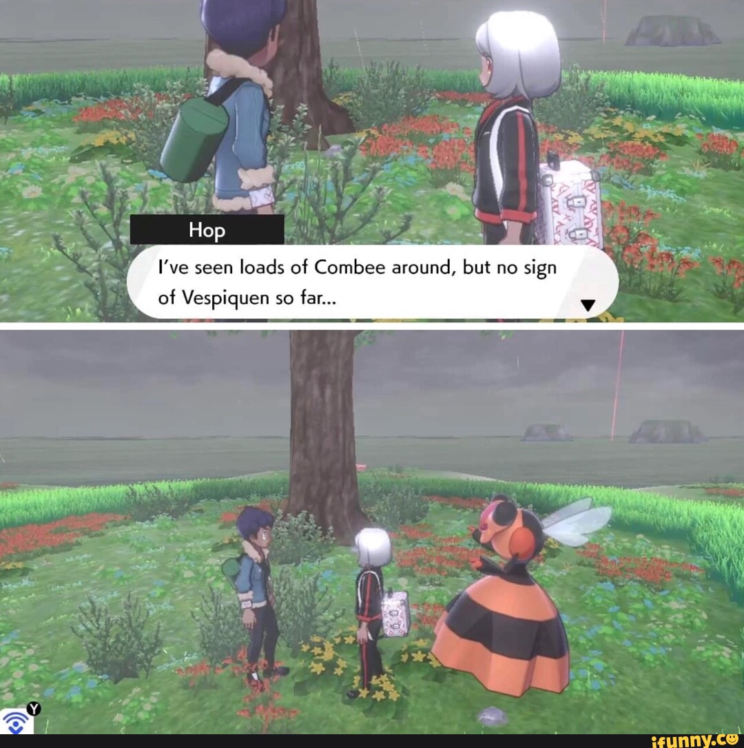 Combee memes. Best Collection of funny Combee pictures on iFunny