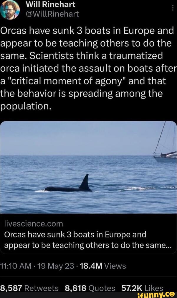 Orca memes. Best Collection of funny Orca pictures on iFunny
