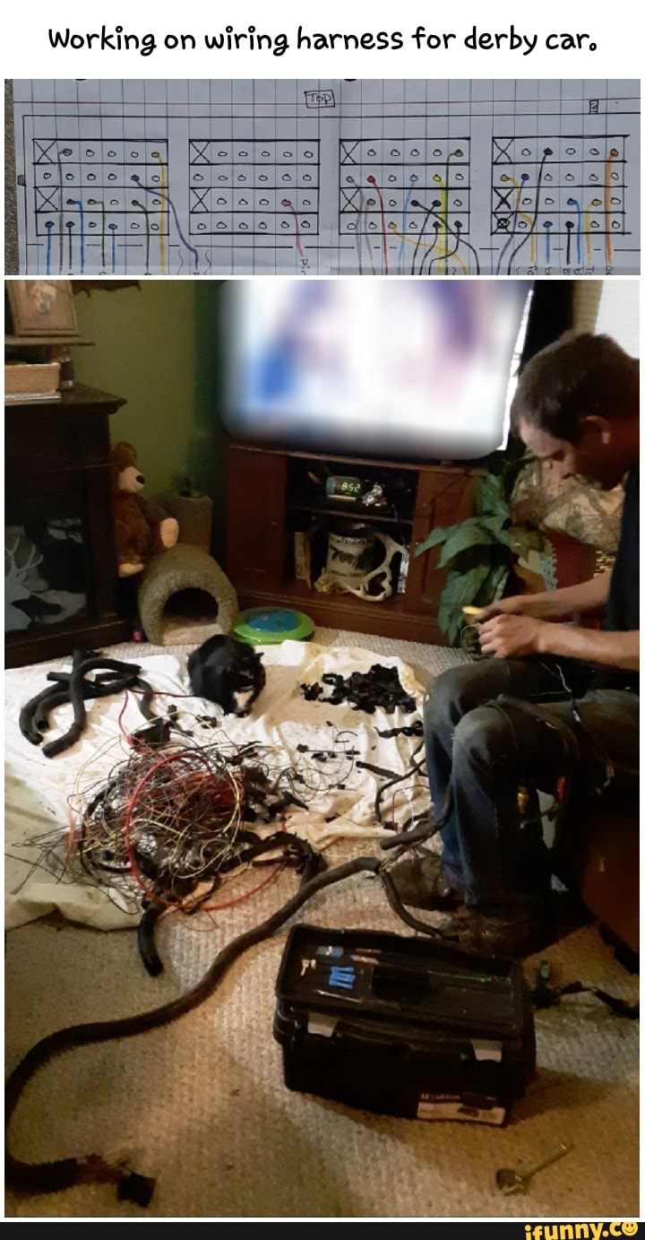 Wiring memes. Best Collection of funny Wiring pictures on iFunny