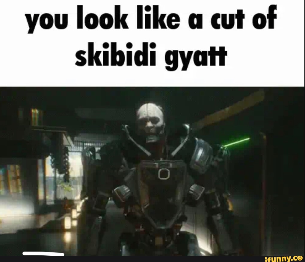 You look like a cut of skibidi gyatt - iFunny