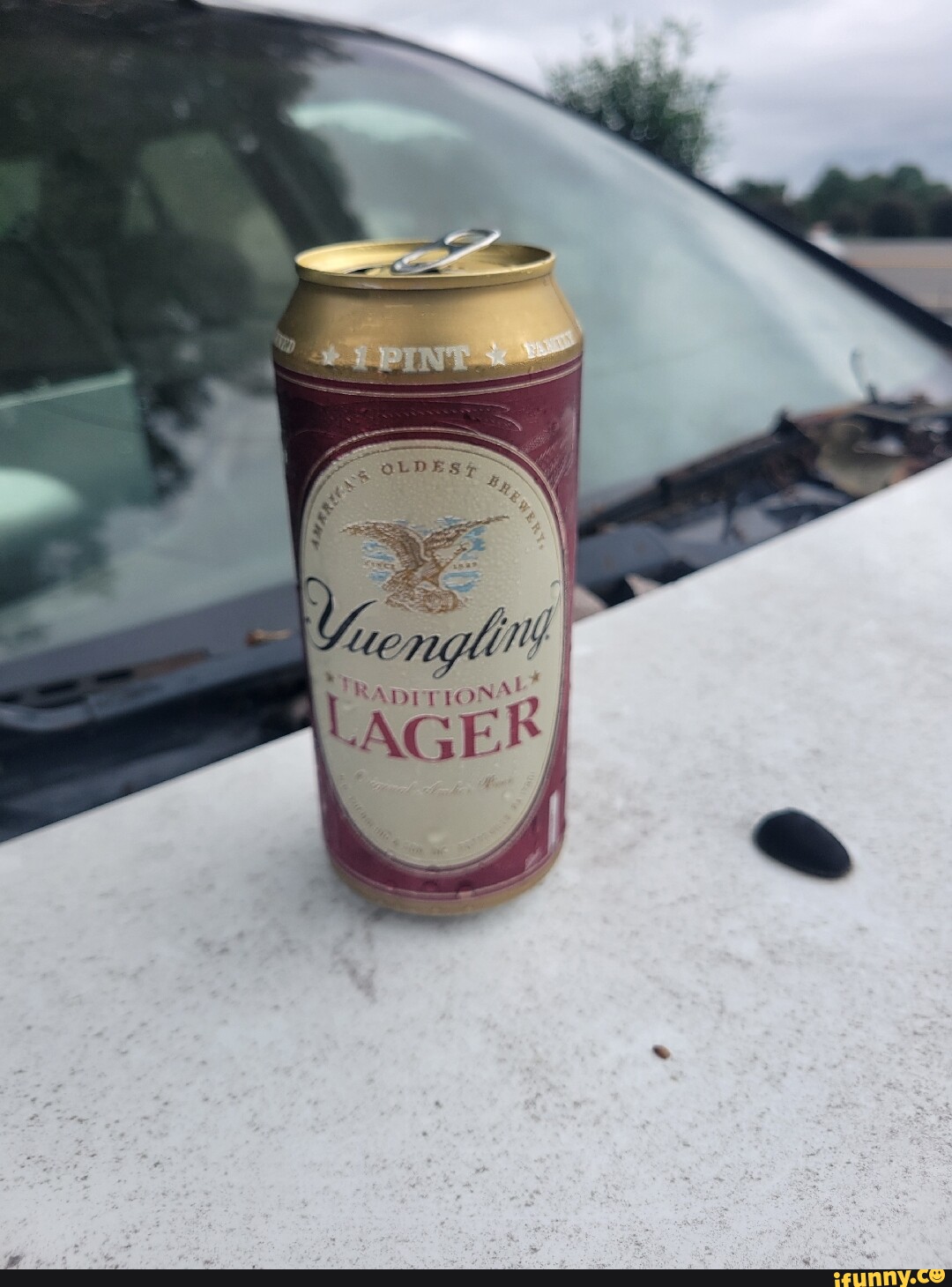Lager Memes Best Collection Of Funny Lager Pictures On IFunny Lager Memes Best Collection Of Funny Lager Pictures On IFunny
