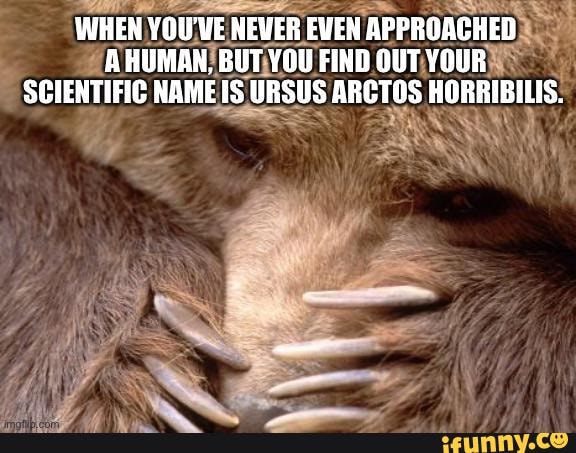 Ursus memes. Best Collection of funny Ursus pictures on iFunny